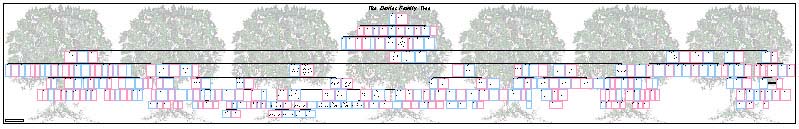 Direct Line Descendant Tree - Dld - Printed Family Trees - To See What ...